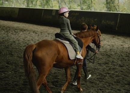 Ford Body Builders Ultimate Guide